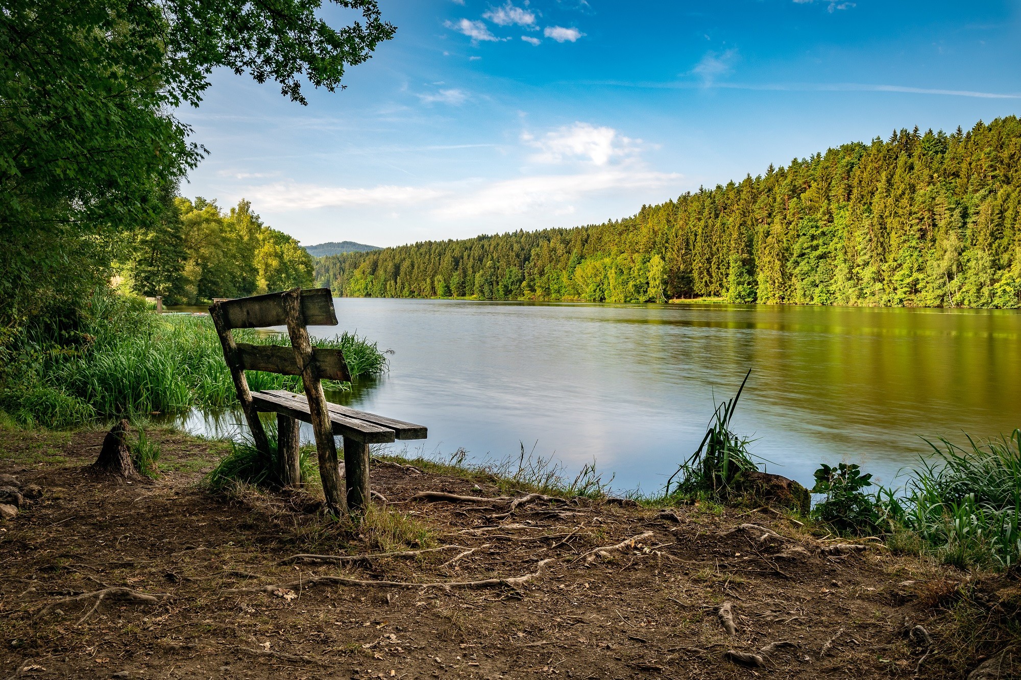 All-inclusive in het Beierse Woud nabij Runding | Duitsland mijn ...